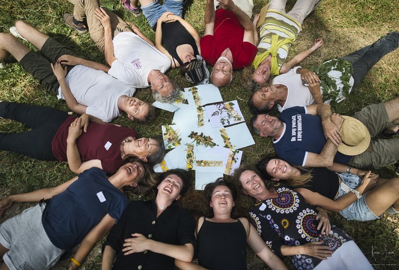 Intelligence collective, loto endiablé et Merlin l'Enchampêtre : c ...